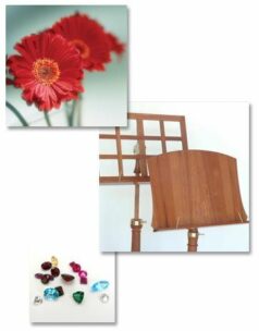 Lemurian Order student organization an inspiring example