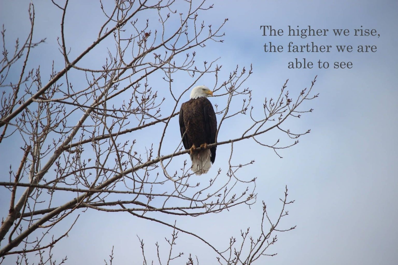 The Higher We Rise - LemurianFellowship.org