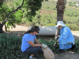 Seeing Good In Others - LemurianFellowship.org