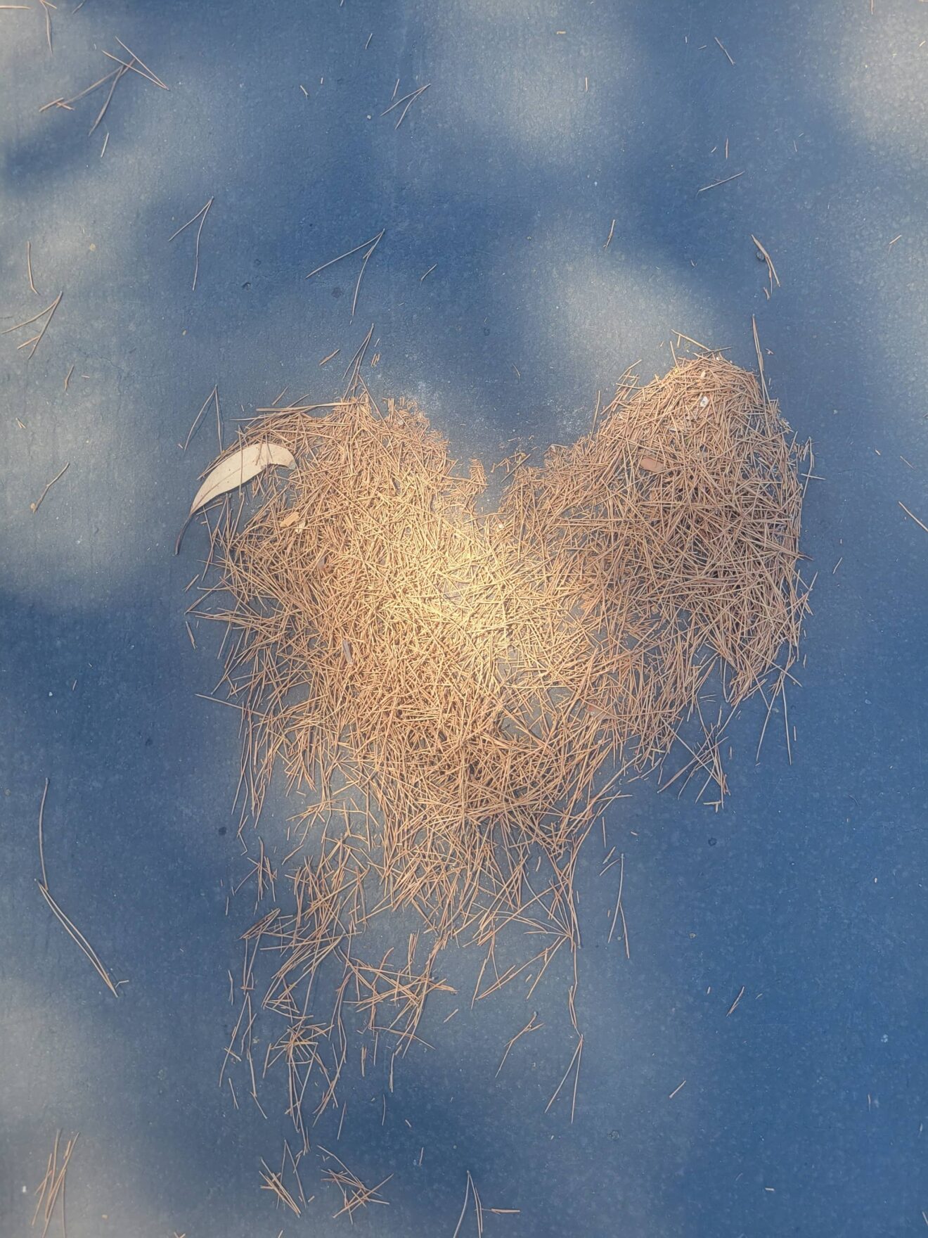 We Can Do This! - LemurianFellowship.org