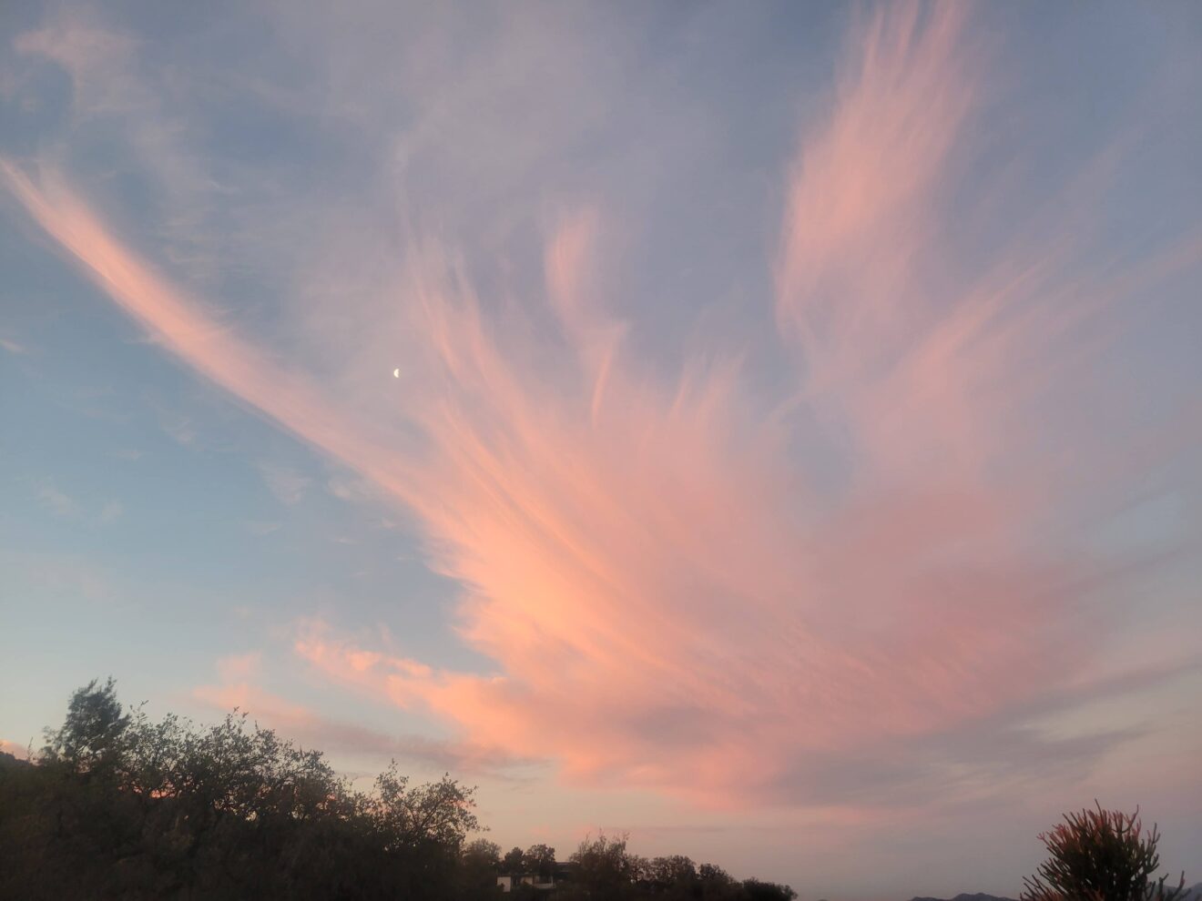 Getting Our Priorities Straight - LemurianFellowship.org